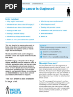 Normal Prostate Size in Dogs | PDF | Prostate | Medical Ultrasound