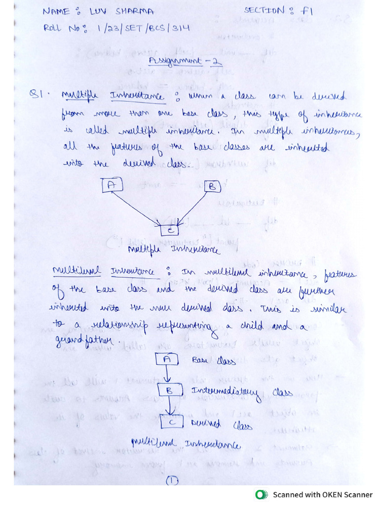 Python Assignment 2 | PDF