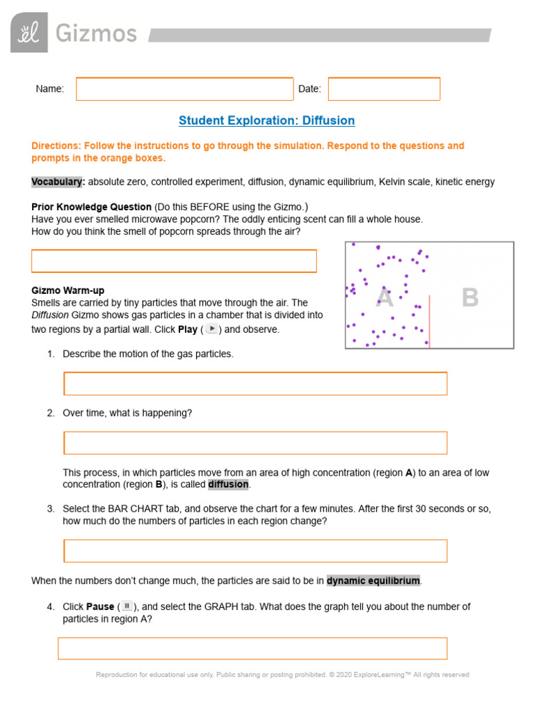 Diffusion Student Exploration | PDF | Temperature | Gases