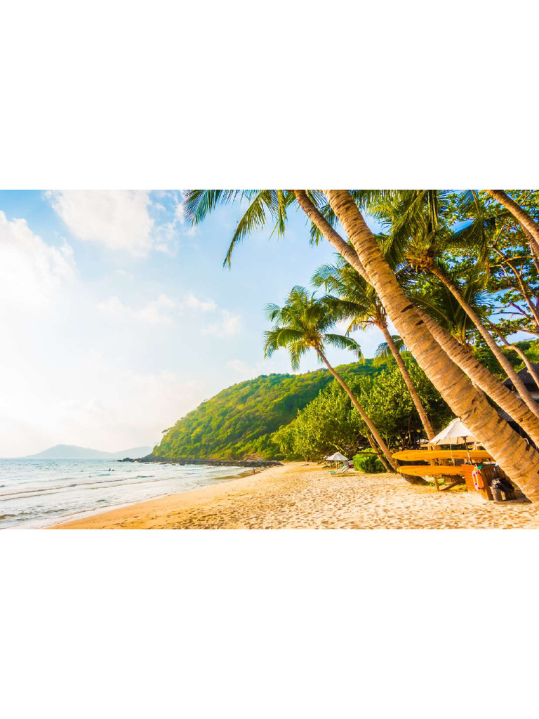 Sea Beach | PDF