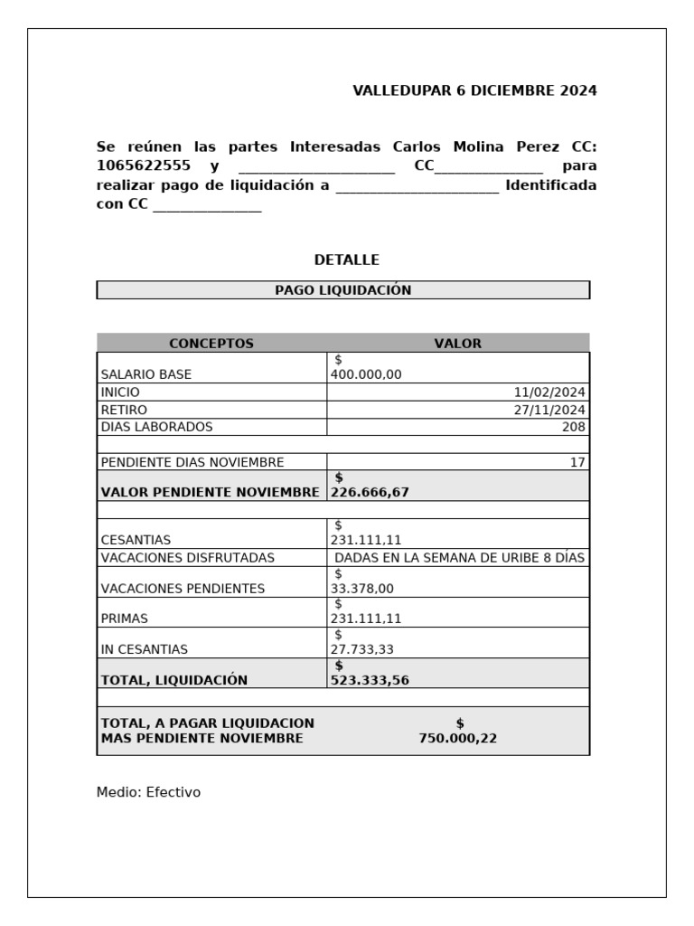 Liquidación Yuli | PDF