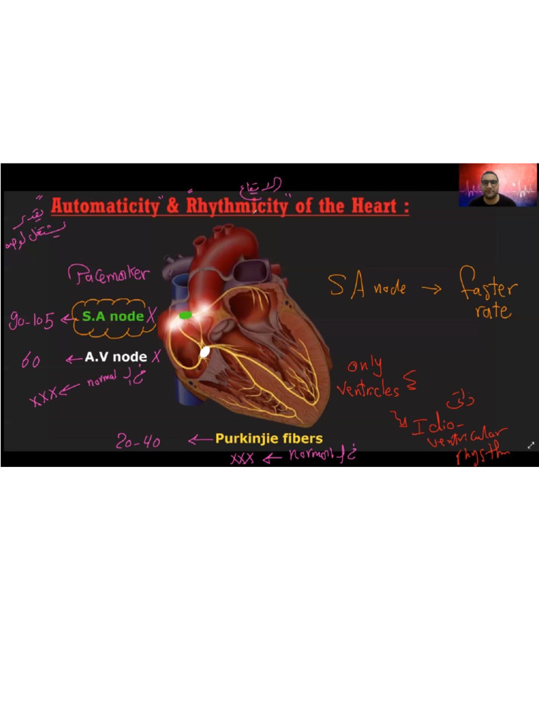 Physio by DR - El-Sherif (CVS) | PDF