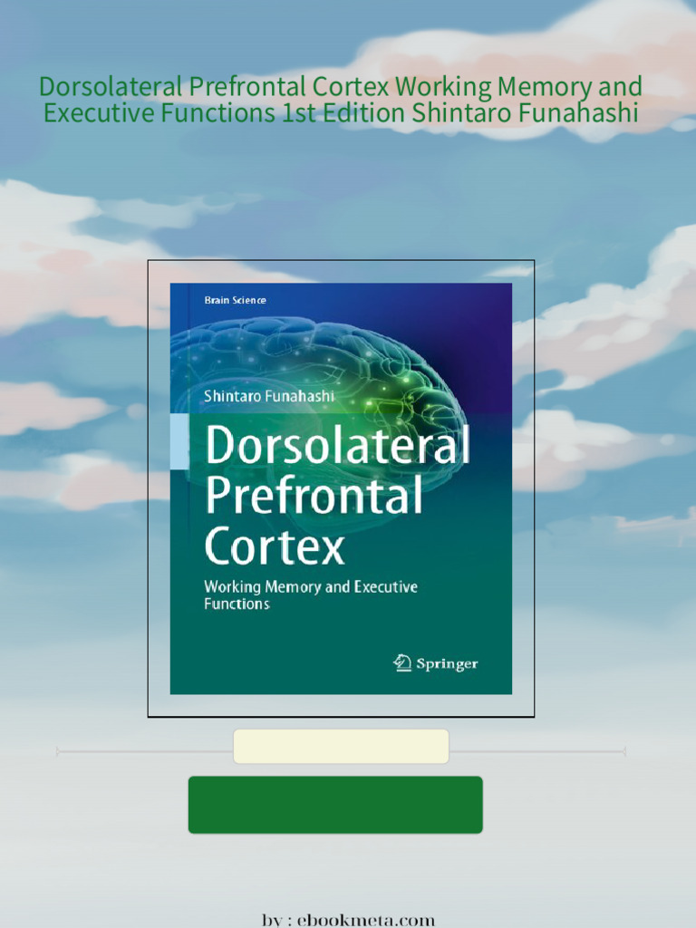 Get Dorsolateral Prefrontal Cortex Working Memory and Executive ... Get Dorsolateral Prefrontal Cortex Working Memory and Executive ...