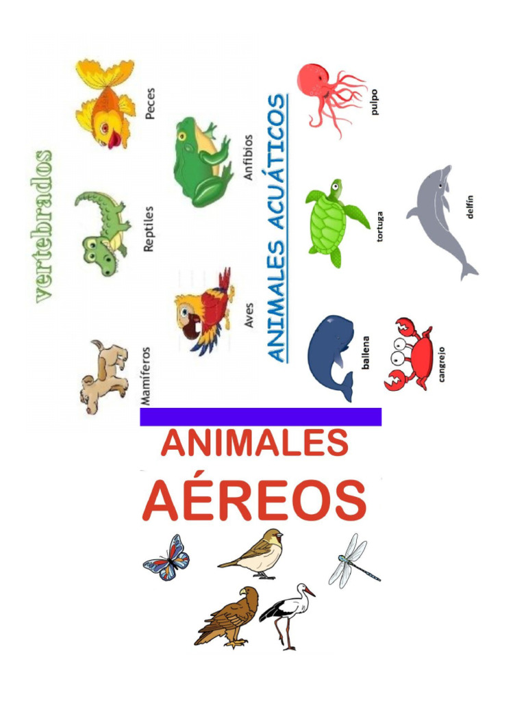 Animales Terrestes, Acuaticos, Aereos | PDF
