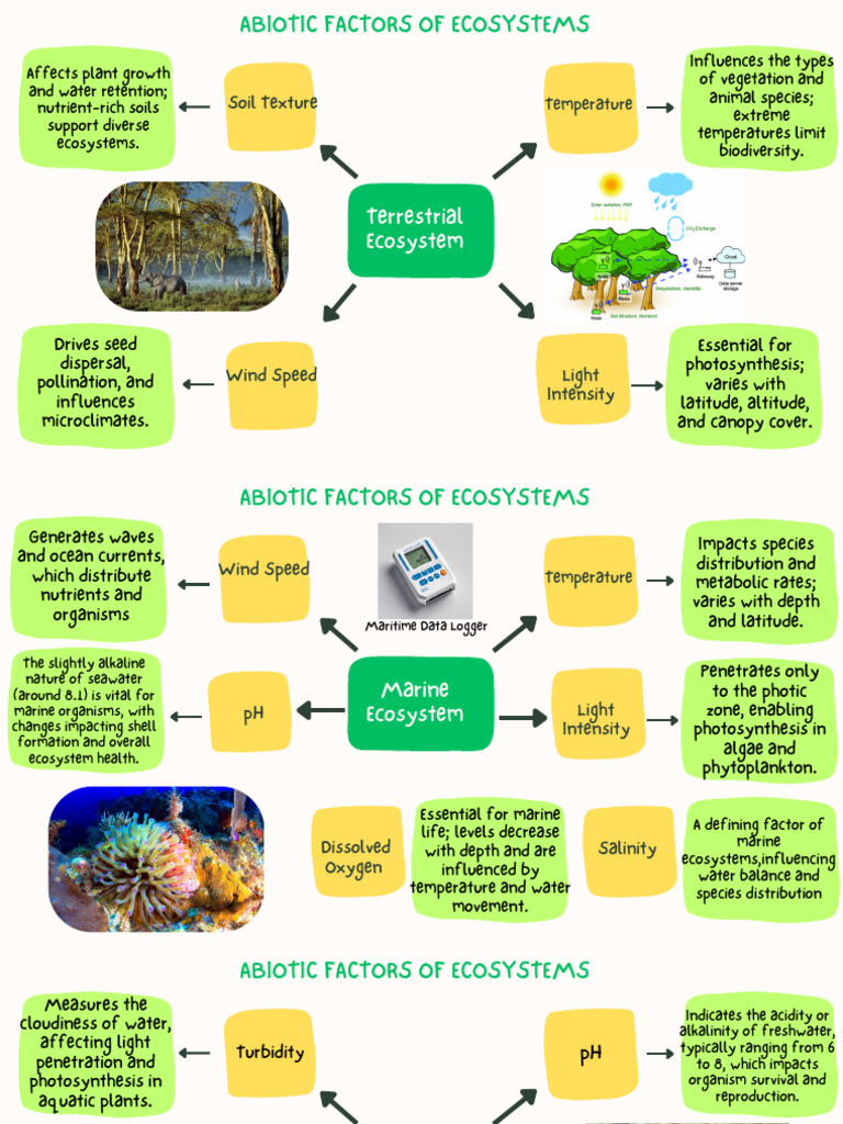 Purple Colorful Organic Mind Map Brainstorm | PDF | Ecosystem | Oceans
