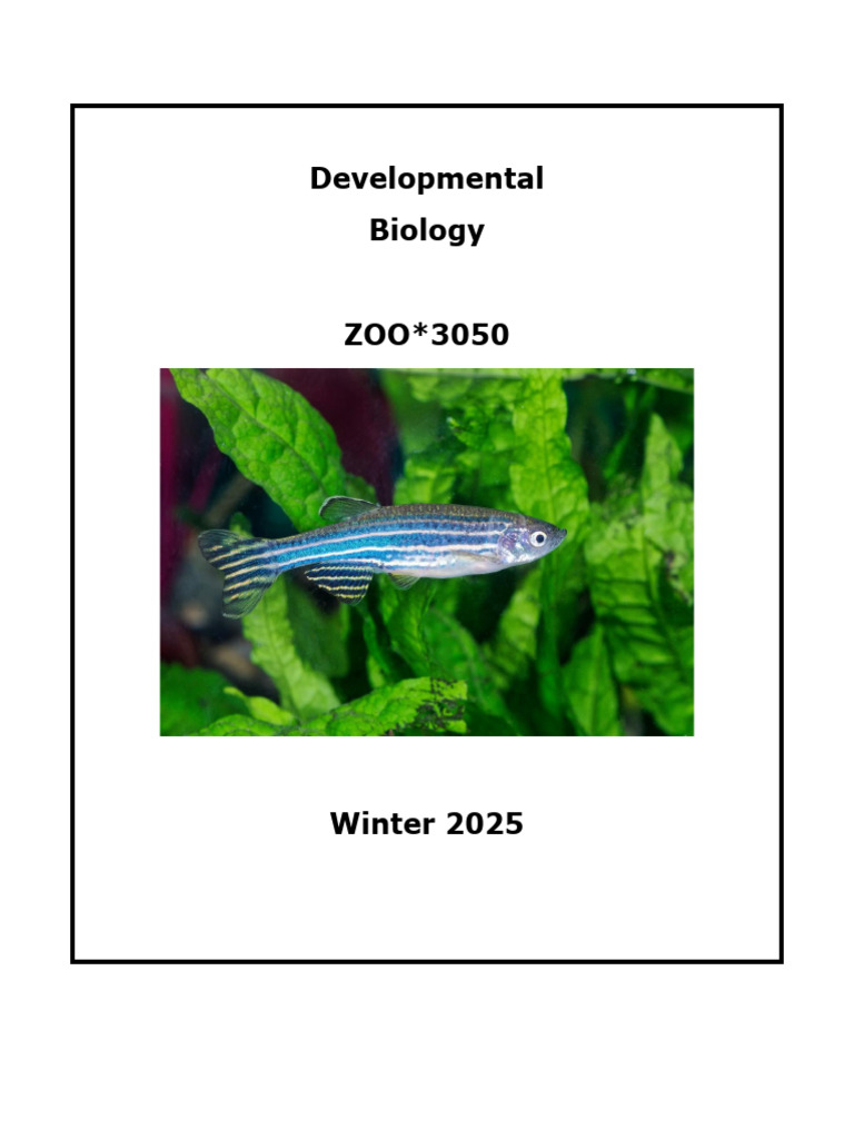 Developmental Biology Lab Manual 2025 | PDF | Epithelium | Tissue (Biology)