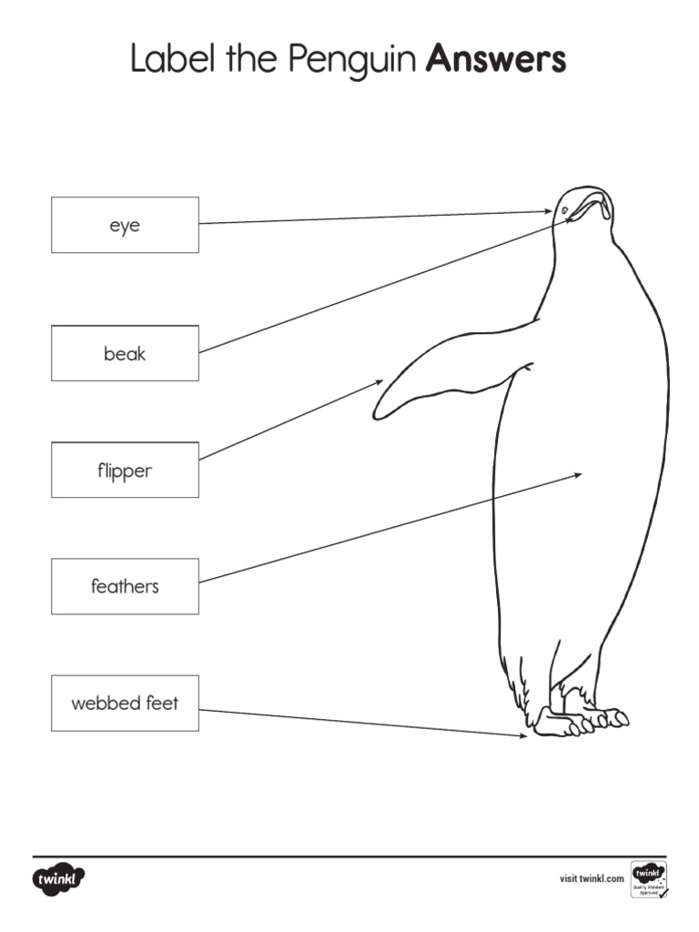 Answer Label The Penguin Activity For K-2nd Grade | PDF