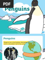 Fact vs Opinion: Penguins Game | PDF