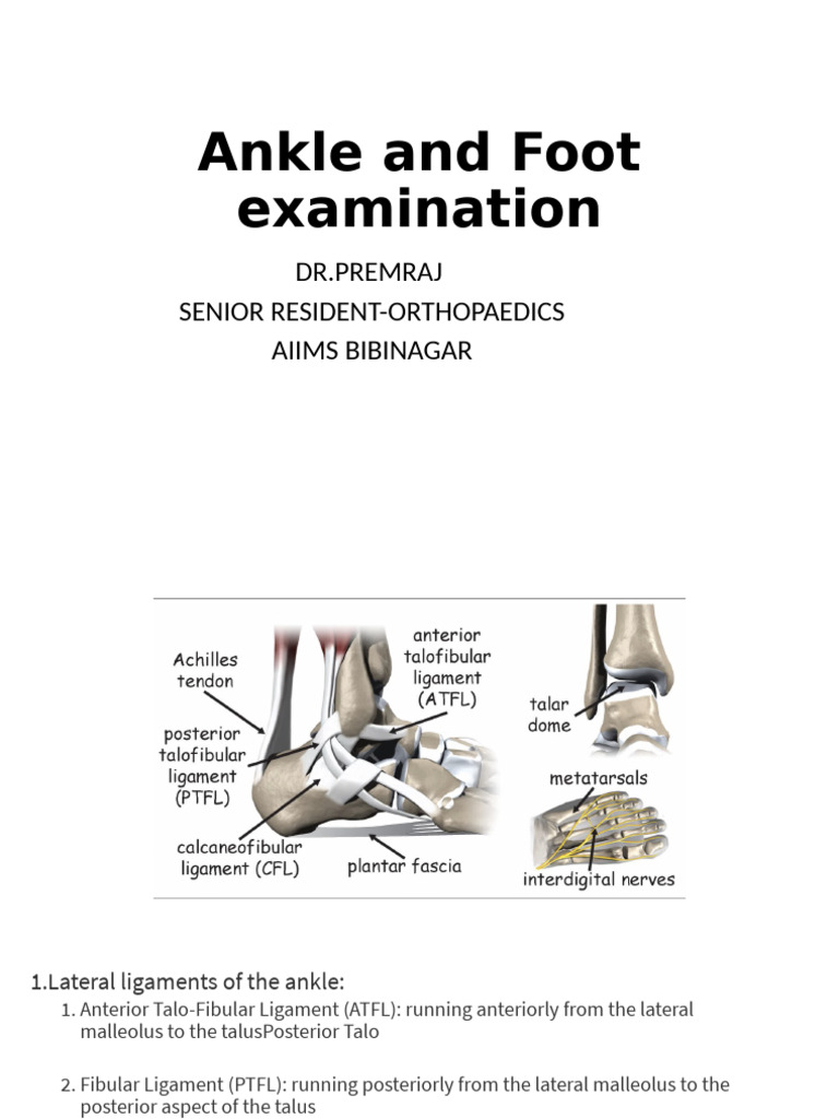Ankle Examination | PDF
