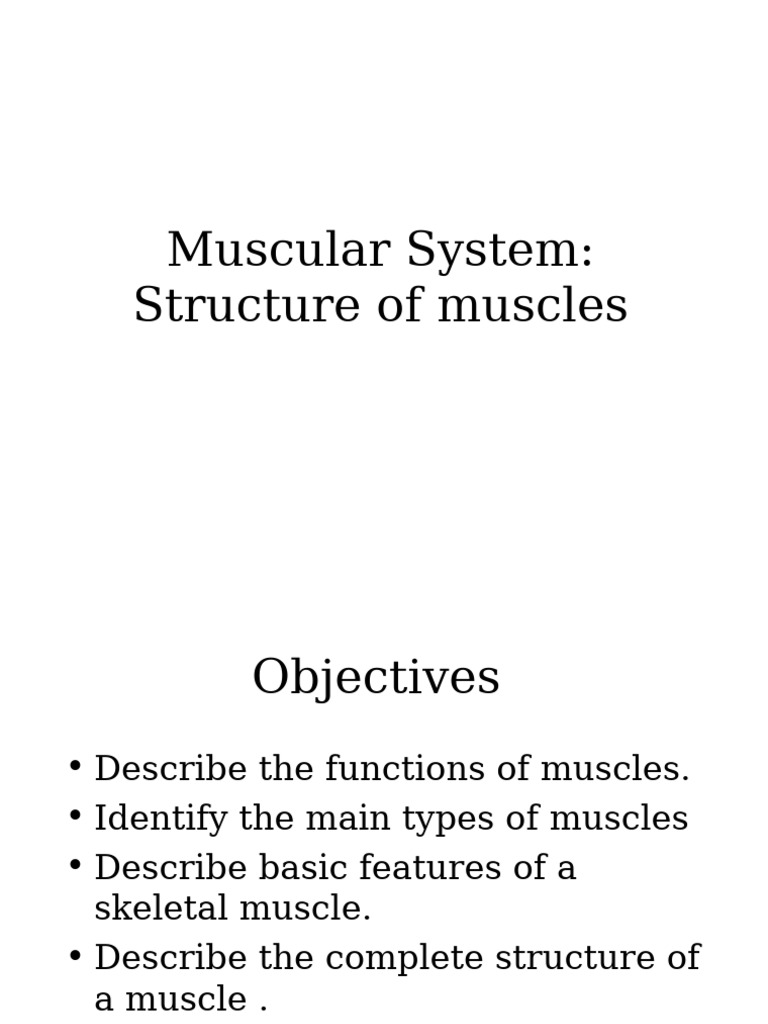 11.structure of Muscles | PDF | Muscle | Neuromuscular Junction