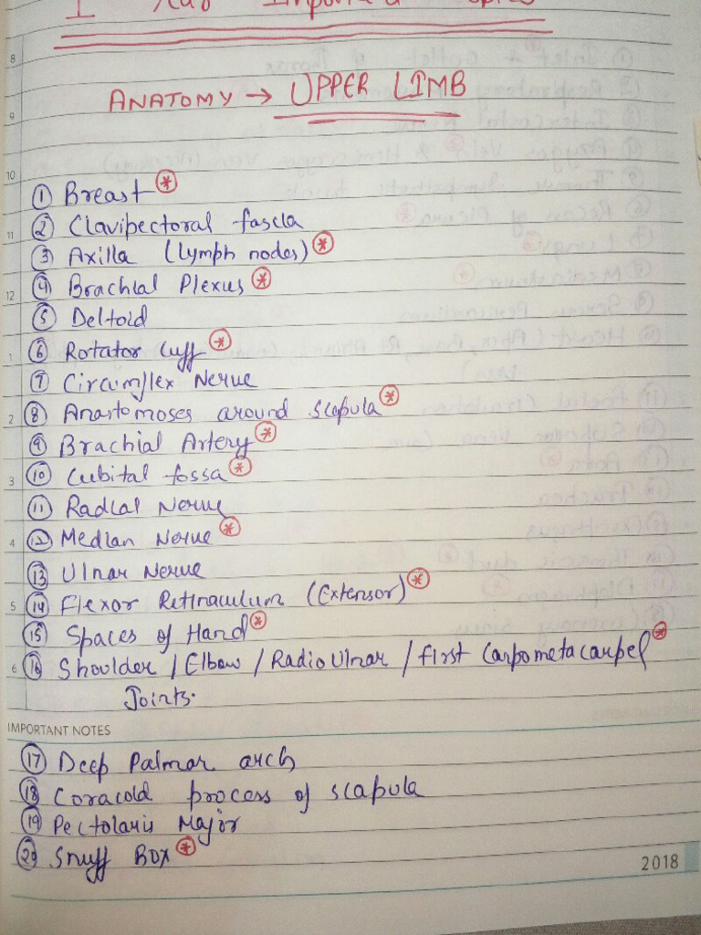 Anatomy Imp Topics | PDF