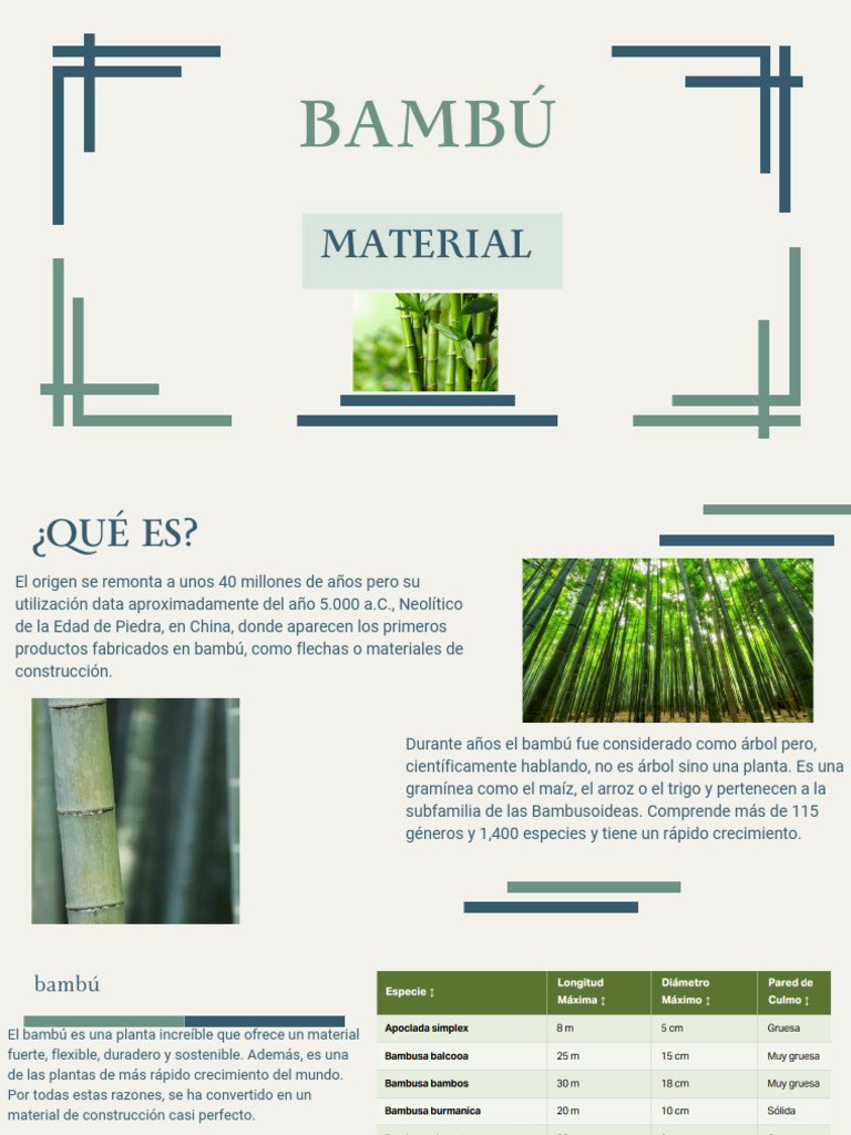 Propiedades y usos del bambú en construcción | PDF