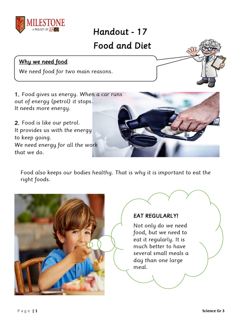 Handout-17 - Food and Diet-Why We Need Food | PDF