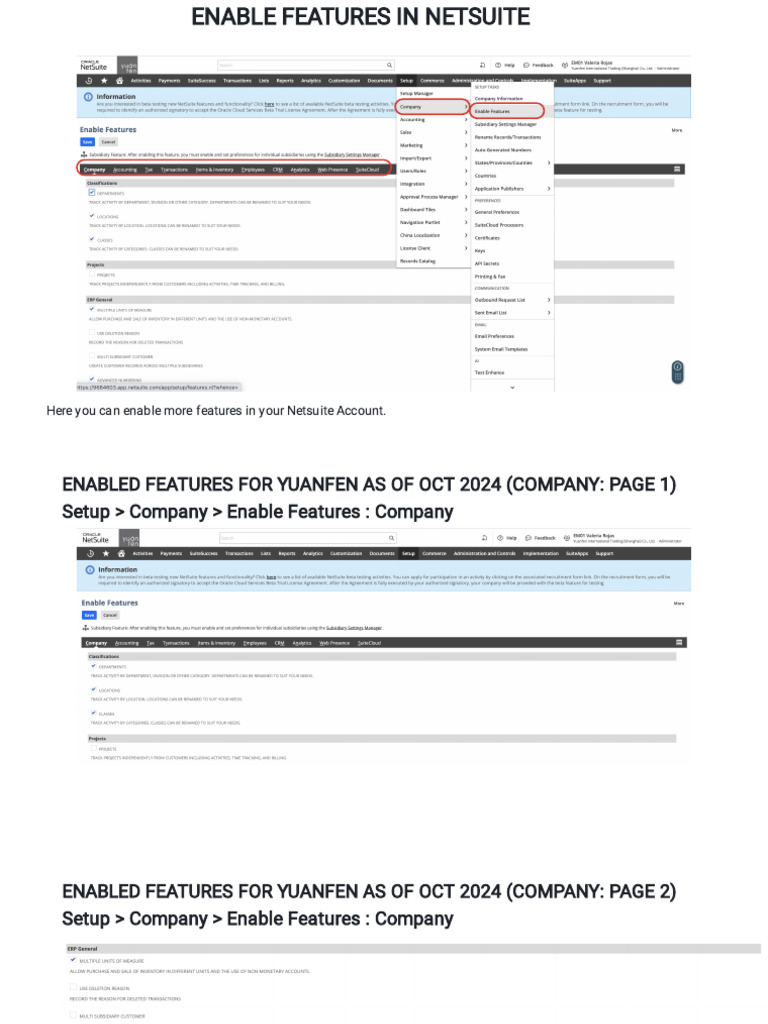 Netsuite Enabled Features & Enabling Additional Features | PDF ...