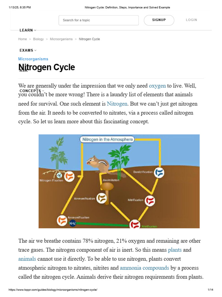 Nitrogen Cycle - Definition | PDF | Nitrate | Chemical Elements