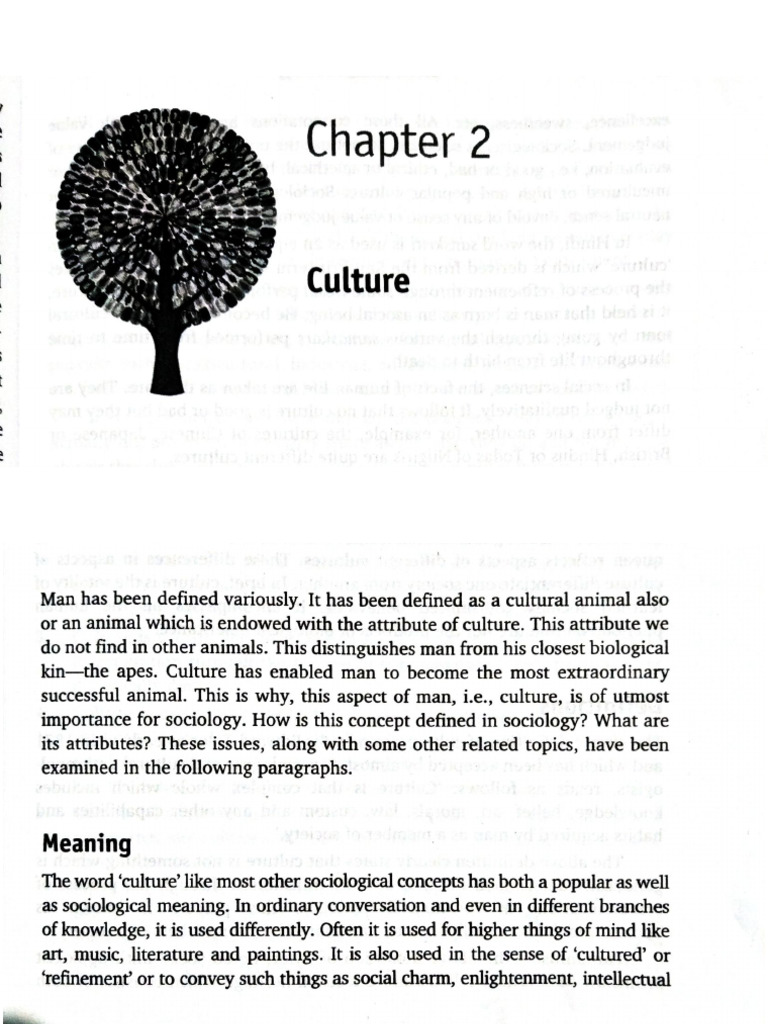 Culture | PDF