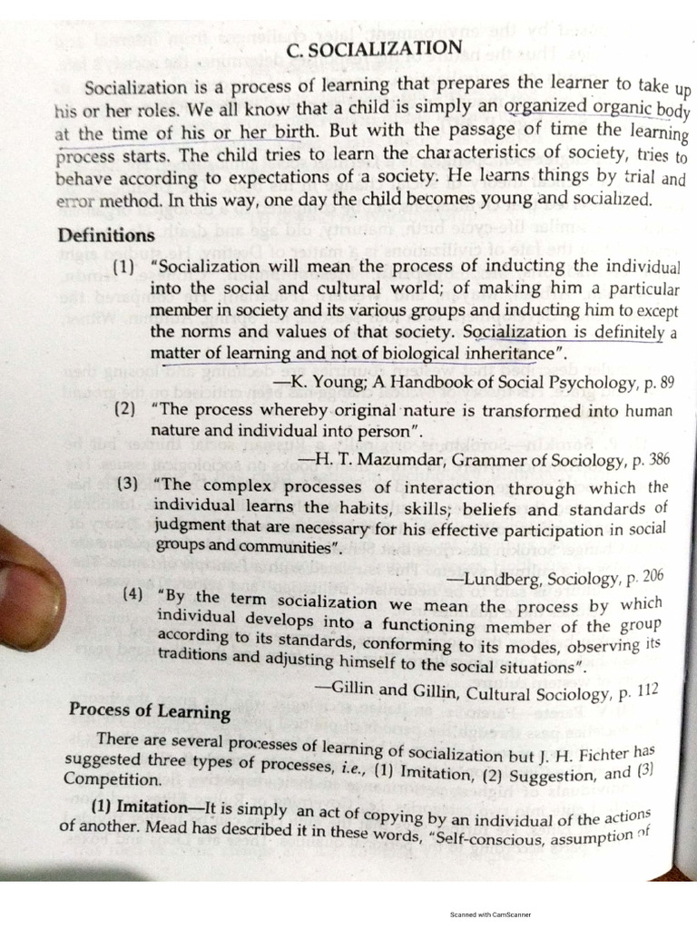 socialization | PDF