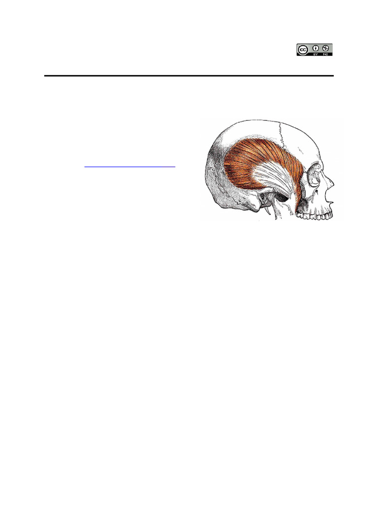 Temporalis Muscle Flap-1 | PDF | Human Head And Neck | Human Anatomy