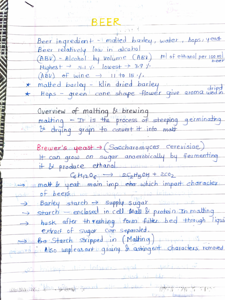 Beer Process | PDF | Brewing | Beer