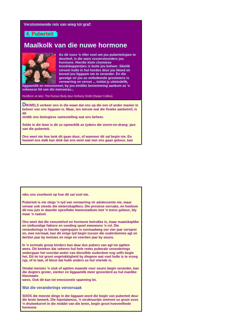Puberteit Taak Graad 8 | PDF