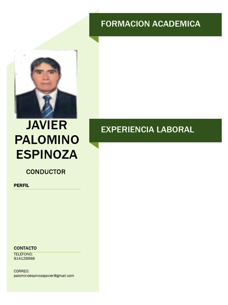 CV - Javier Palomino Espinoza 3 | PDF