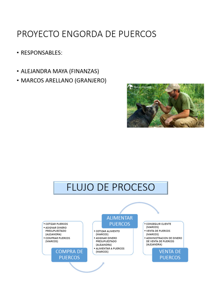 Proyecto Puercos | PDF | Economias