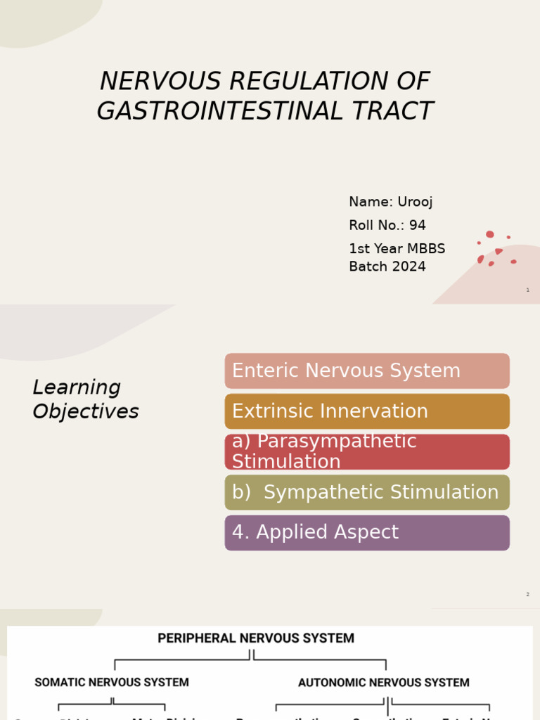 Presentation 17 (2) | PDF | Gastrointestinal Tract | Nerve