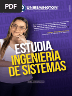 Malla Ing Sistemas 2025 ULIMA | PDF | Software | Programación de computadoras