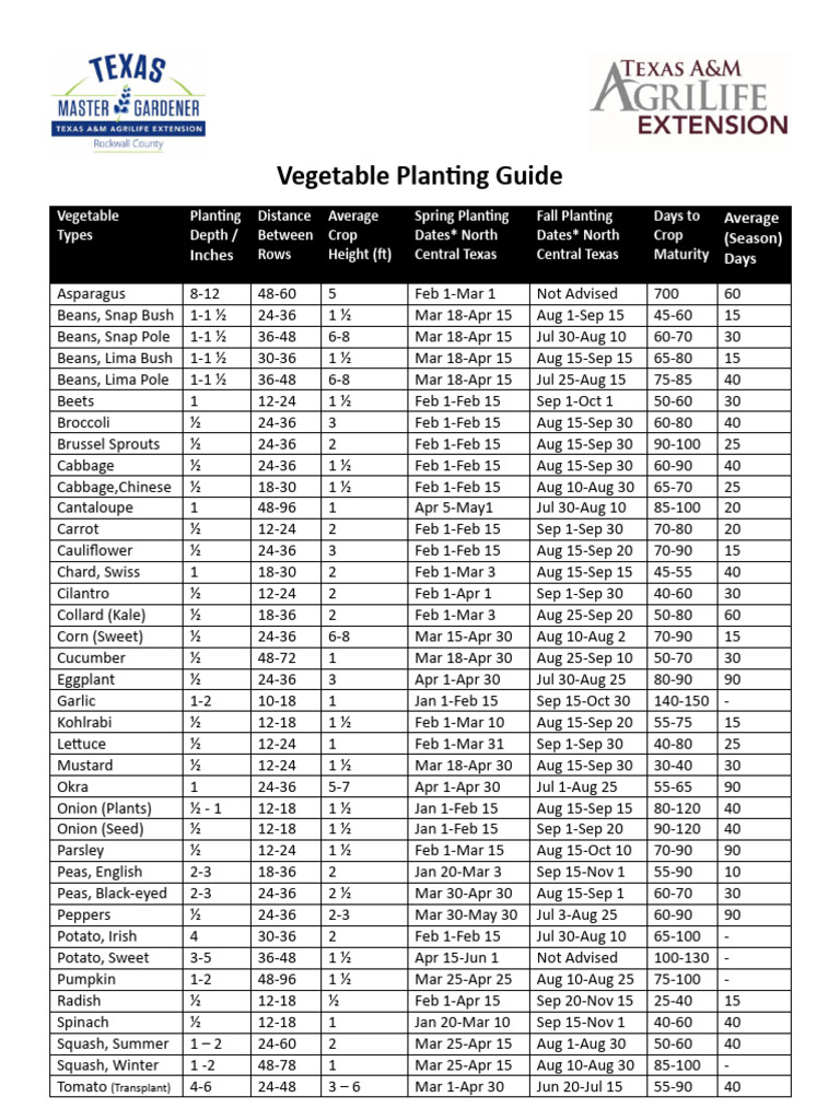Vegetable Planting Guide for Texas | PDF | Vegetables | Crops