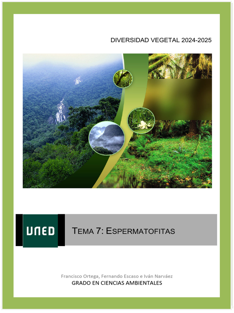 Tema 7. Espermatofitas | PDF | Plantas | Botánica