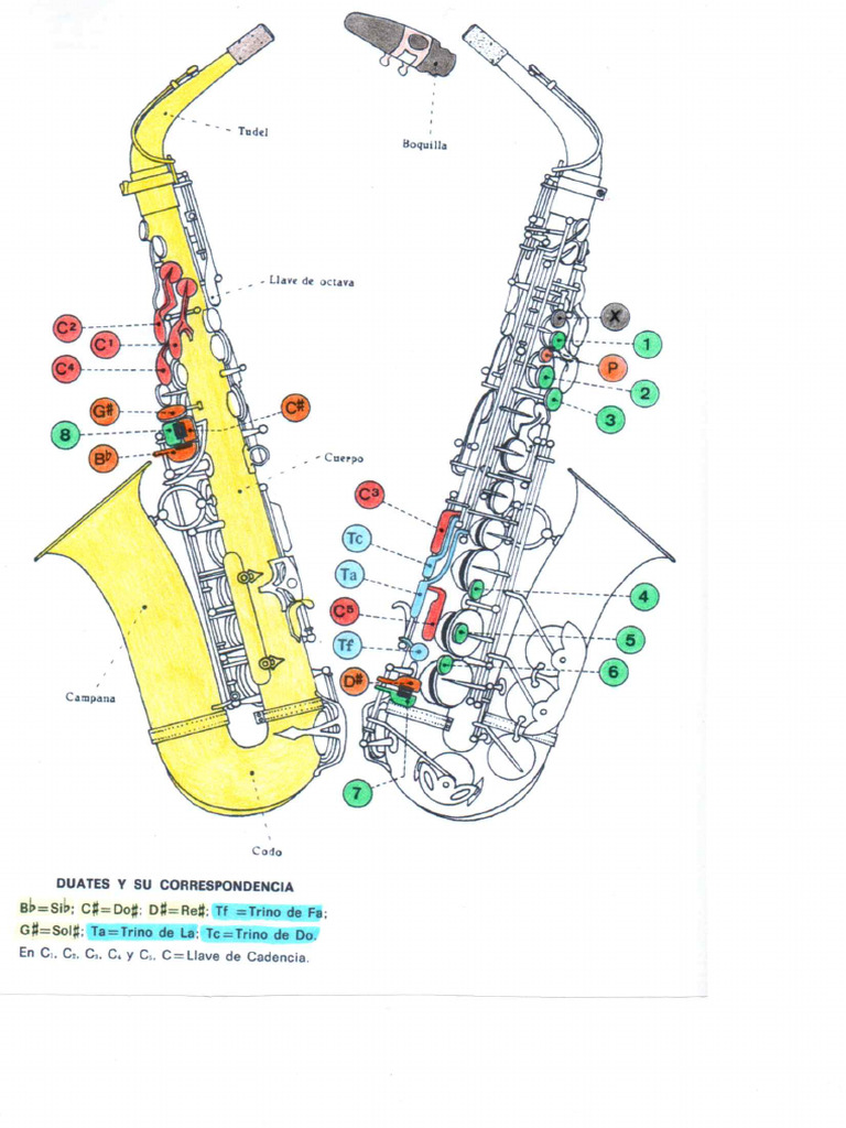 Posiciones Del Saxofón | PDF
