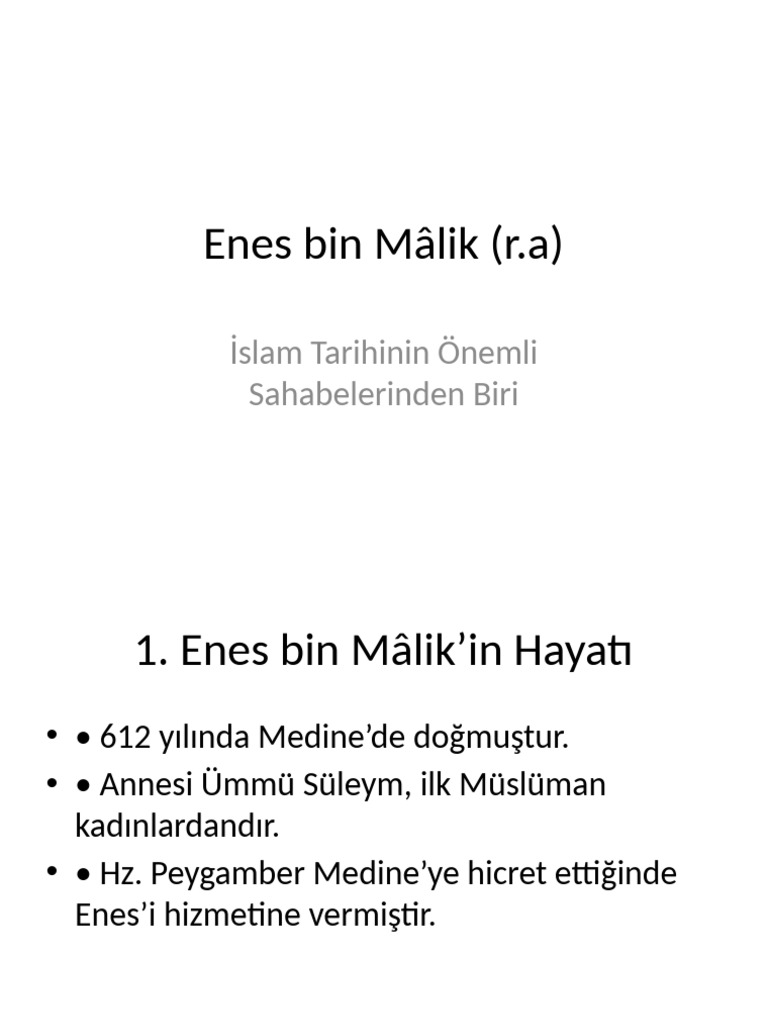 Enes Bin Malik Sunum | PDF