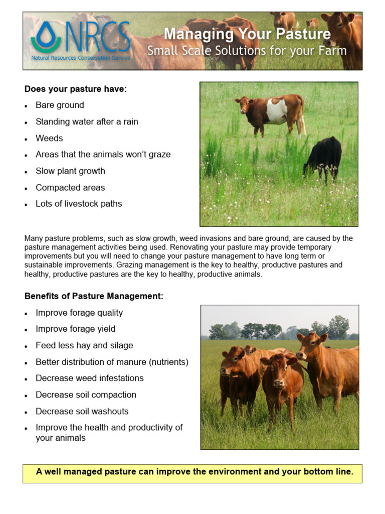Effective Pasture Management Strategies | PDF | Grazing | Natural ...