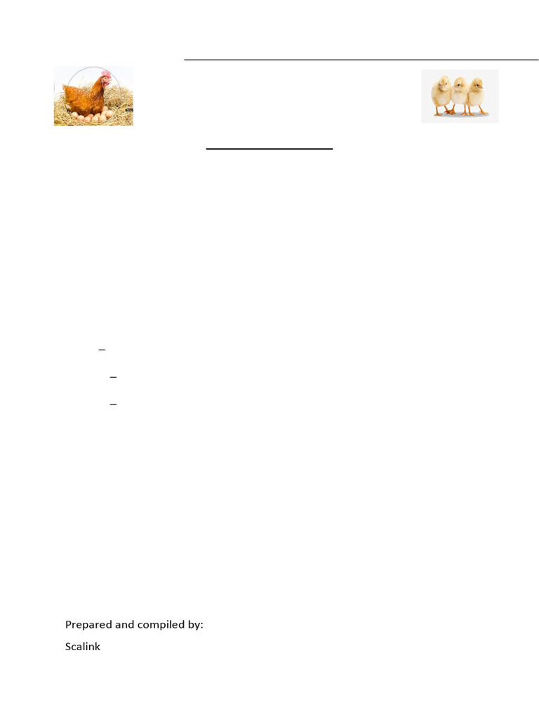 BROILER FEEDING PROGRAM _240501_172930 | PDF