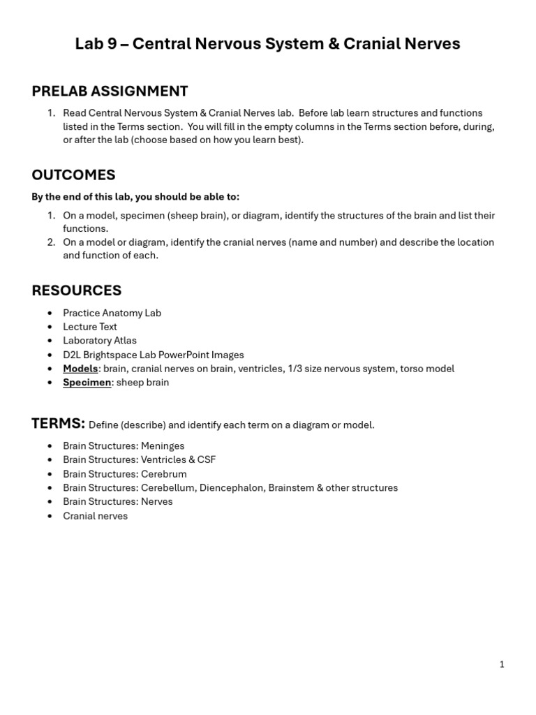 Lab 9 Handout - CNS Cranial | PDF | Brainstem | Central Nervous System
