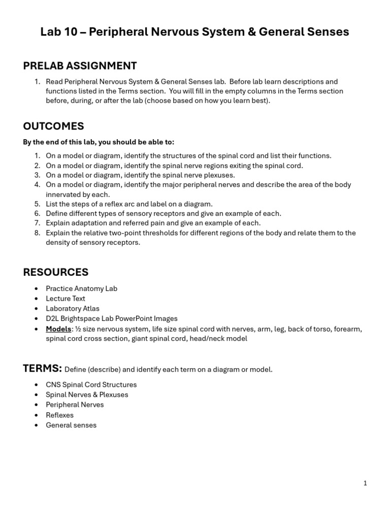 Lab 10 PNS Gen Sense Handout | PDF | Spinal Cord | Motor Neuron