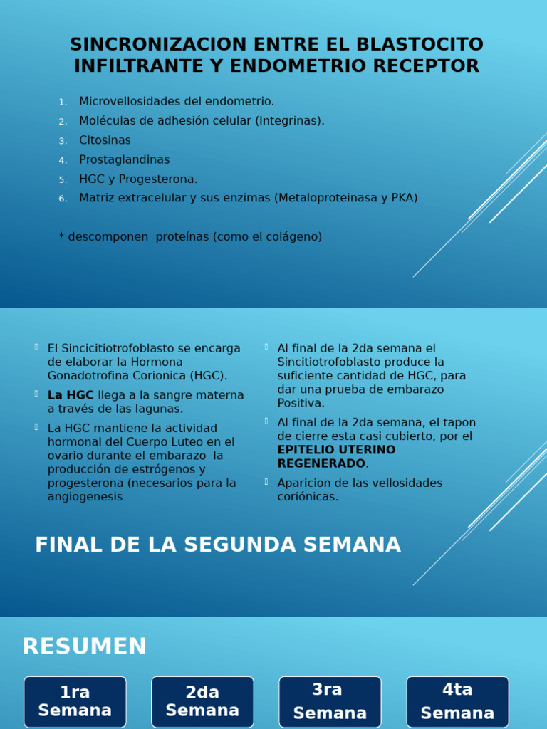 SINCRONIZACION-ENTRE-EL-BLASTOCITO-INFILTRANTE-Y-ENDOMETRIO-RECEPTOR ...