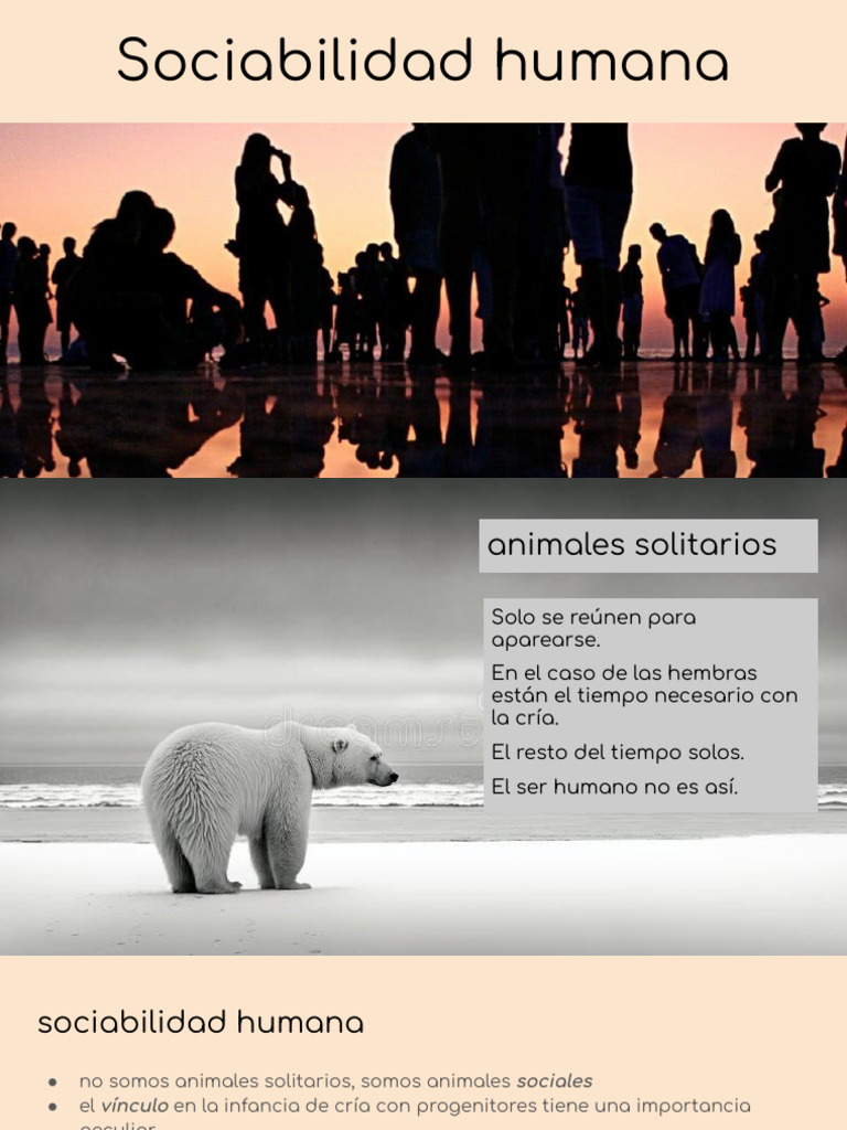 Sociabilidad Humana | PDF | Teoría de apego | Sicología