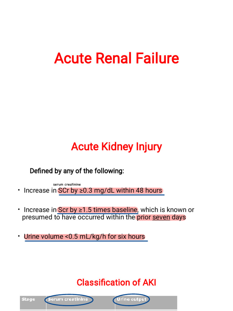 Lecture 6 - Acute Renal Failure | PDF | Kidney | Medical Specialties