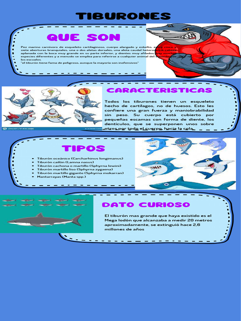 Características y tipos de tiburones | PDF