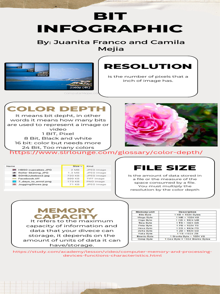 Bit infographic (1) | PDF