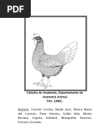 Principales Partes Del Gallo | PDF | Estudios de idiomas extranjeros