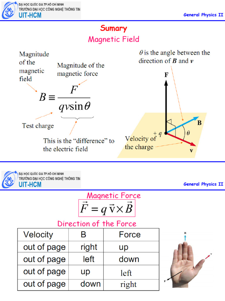 Magnetic Forces and Fields in Physics | PDF | Magnetism | Magnetic Field