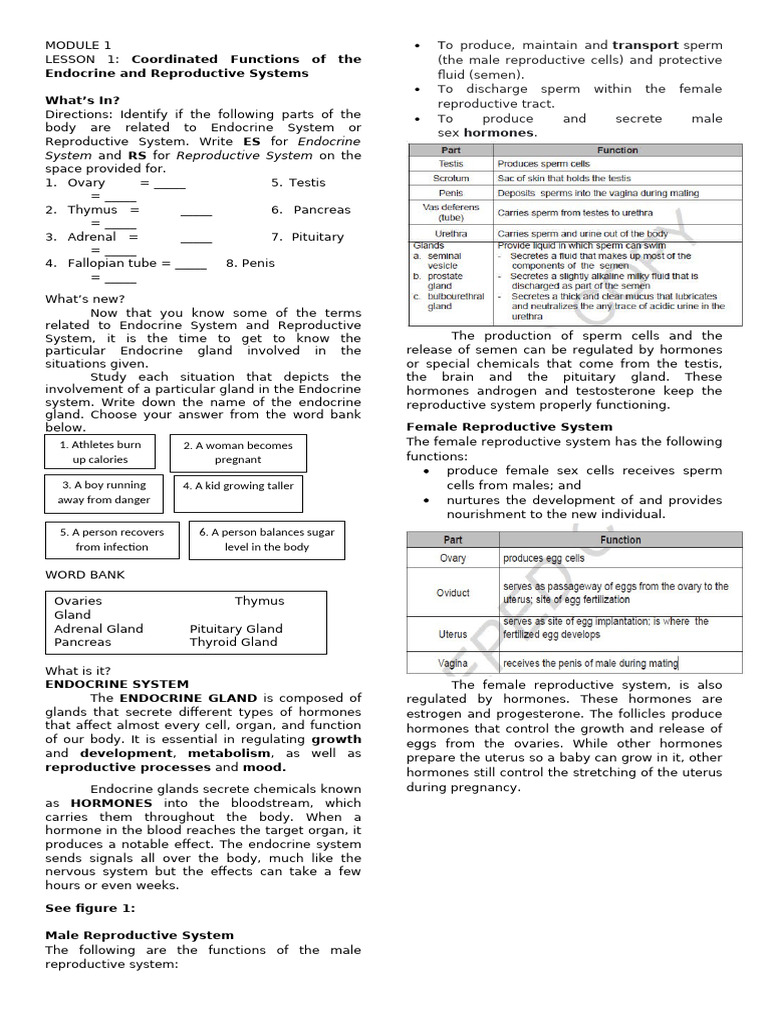 MODULE-1 | PDF | Endocrine System | Hormone