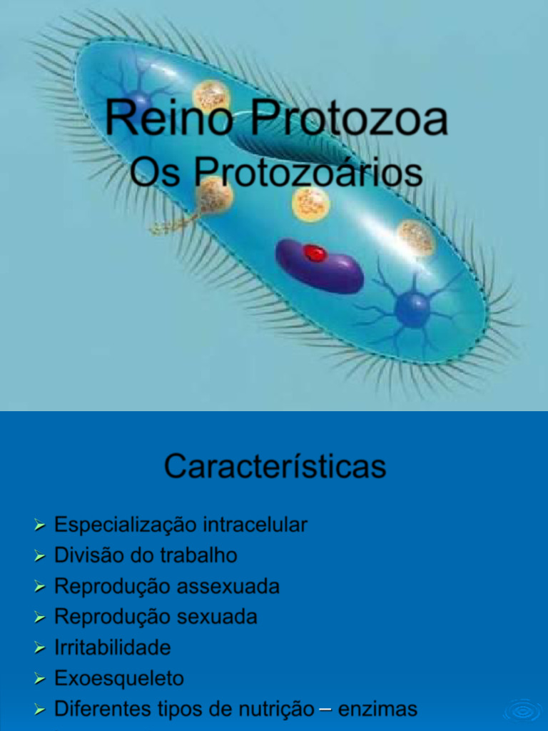 Características e Reprodução dos Protozoários | PDF | Protozoários ...