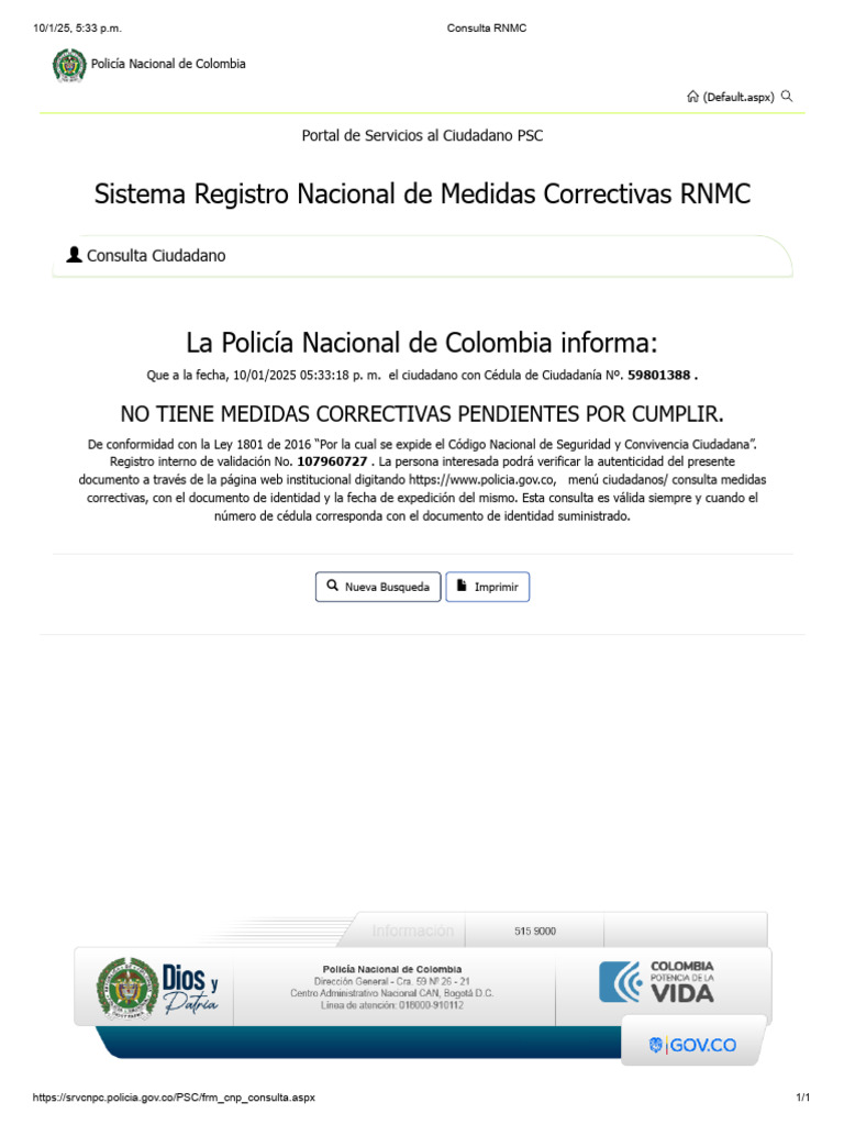 Consulta RNMC | PDF
