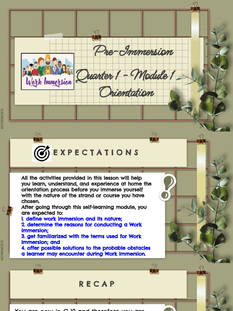 Work Immersion Orientation Guide | PDF | Curriculum | Partnership