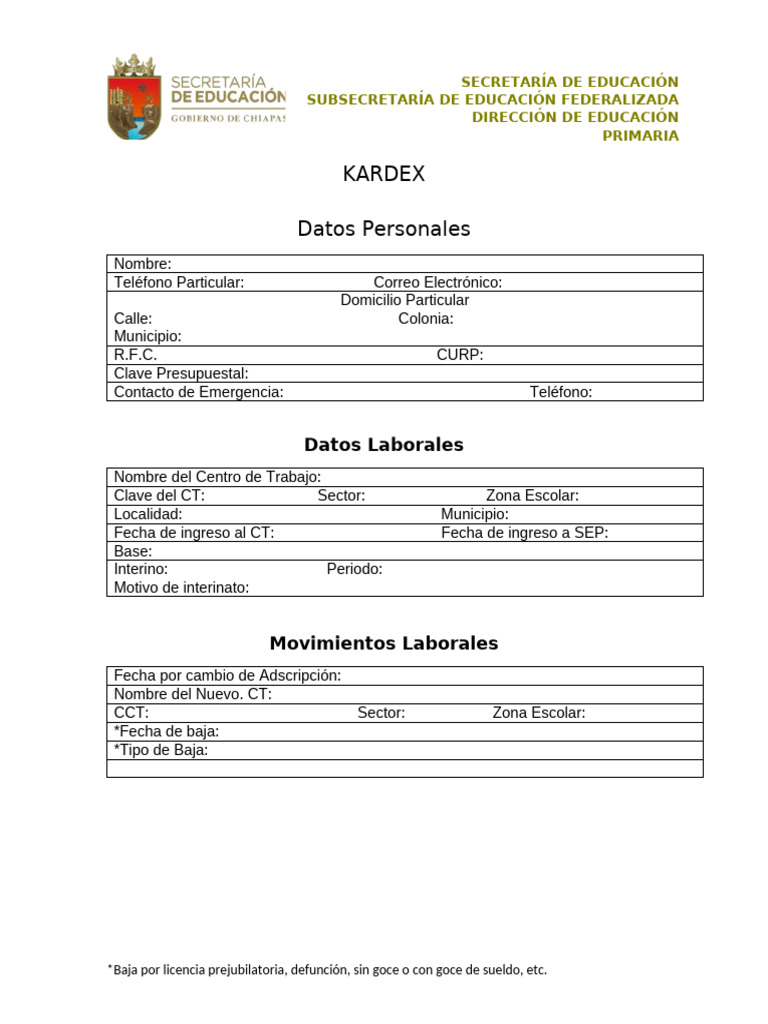 Formato de Kardex | PDF
