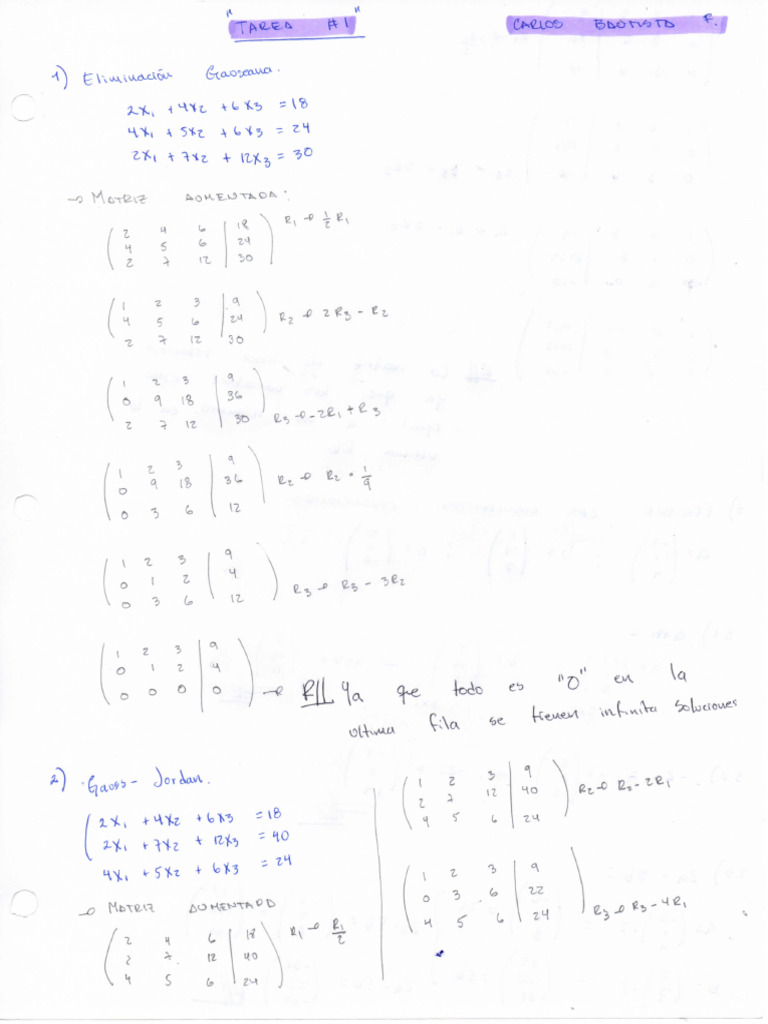 Tarea 1 Math001 | PDF