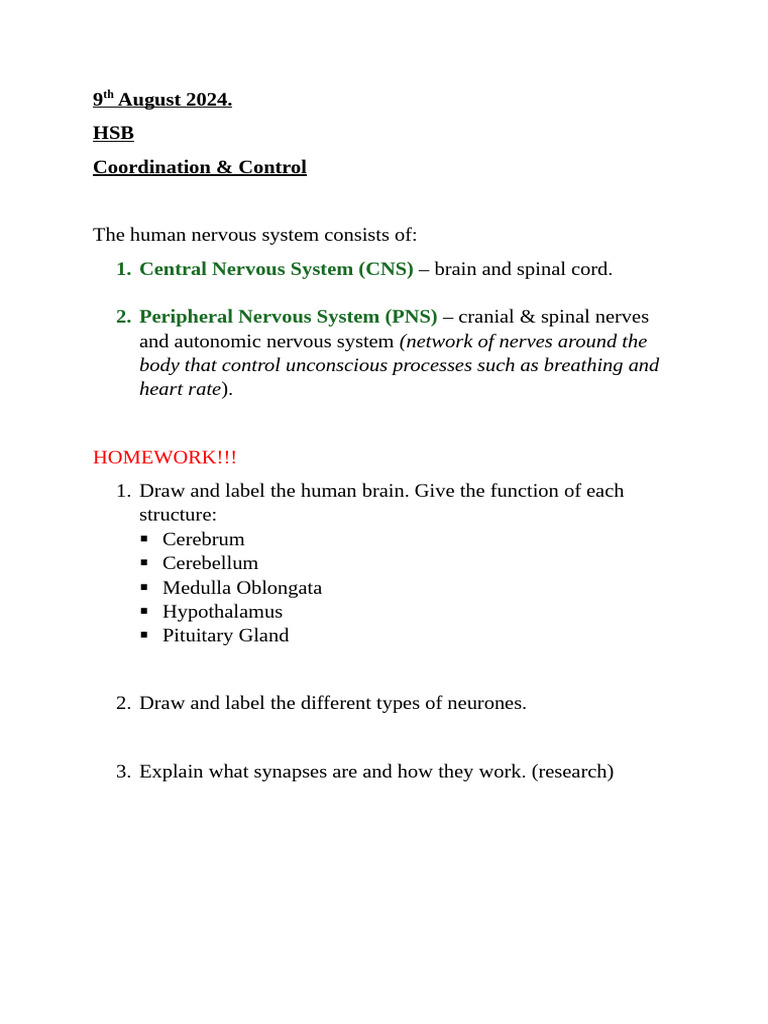 9th August 2024 Coordination & Control continuation Ally | PDF